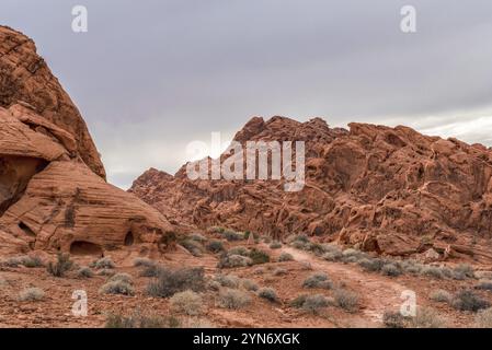 Magnificent red colored rock in the Valley of Fire, Nevada, USA, North ...