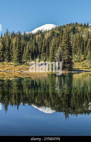 Shadow Lake at Mt Rainier NP in Washington Stock Photo - Alamy