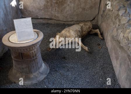 Ancient Roman farmhouse and vinery villa Regina in Boscoreale, Southern ...