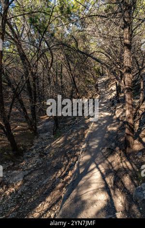 River Place Nature Trail, Austin, Texas, USA Stock Photo - Alamy