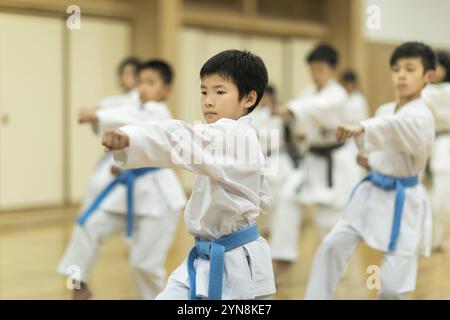 Boys practising karate Stock Photo - Alamy