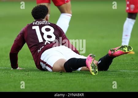 Che Adams of Torino Fc lies on the ground during the Serie A match ...