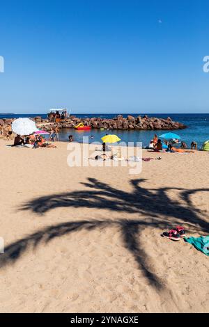 France, Alpes Maritimes (06), Mandelieu La Napoule, port et viaduc de ...