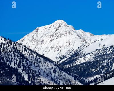 Idaho's Winter Serenity: Snow-draped mountains framed by towering pine ...