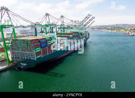 Port of Los Angeles. Everport Shipping Container terminal. Shipping ...