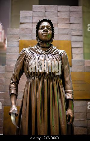 This comprehensive history of the American Civil War, known as the ...