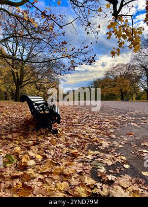 Autumn season in a public park Oregon state Stock Photo - Alamy
