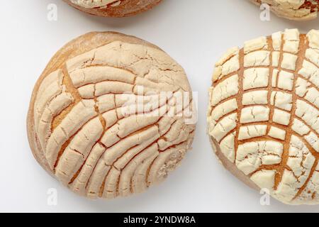 Chocolate Homemade Mexican Conchas. A traditional Mexican sweet bread ...