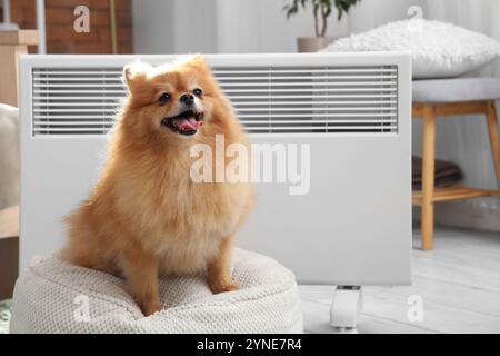 Cute Pomeranian dog on pouf near electric convector heater at home ...