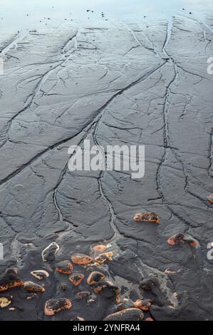 Pollution in Kalimantan, Island of Borneo, Indonesia, Southeast Asia ...