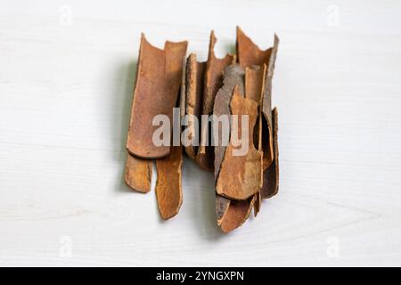 Cinnamon sticks rest on a light wooden surface. Its scientific name is ...