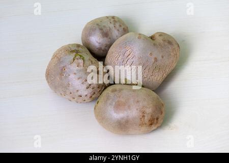 Fresh purple yam (Dioscorea alata), also known as greater yam, Guyana ...