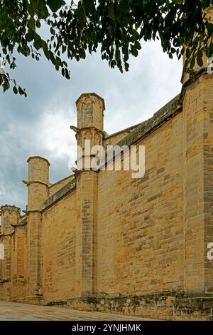 Catedral de Santa Maria de Tortosa Stock Photo - Alamy