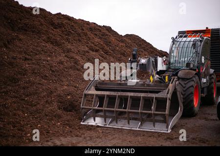 bobcat collecting green waste for composting at city landfill Stock ...