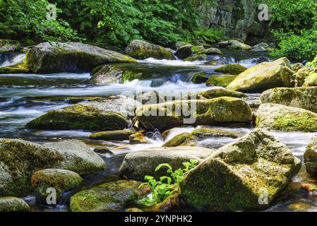 A view of the Bode riverbed in the Harz Mountains in glorious sunshine ...