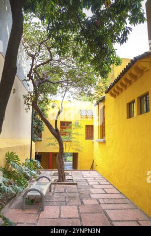 Typical patron mexican house. Guadalajara, Jalisco. Mexico Stock Photo ...
