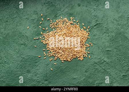 Pile of canary seed - Phalaris canariensis Stock Photo - Alamy
