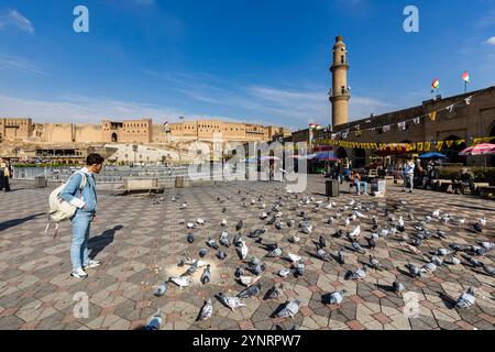 Erbil Citadel, Qalat, Hawler, historical mound(tell), Shar park ...