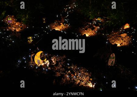 Fairy doors are illuminated on the woodland floor during Luminate ...