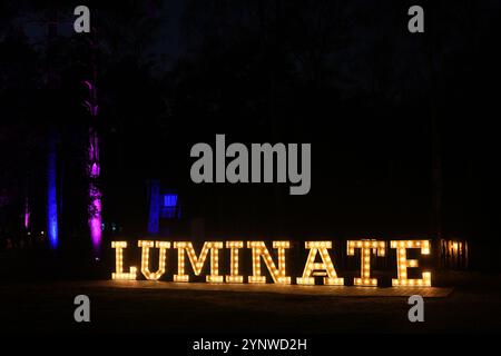 Luminate Sandringham, the Sandringham Estate winter light trail, in the ...