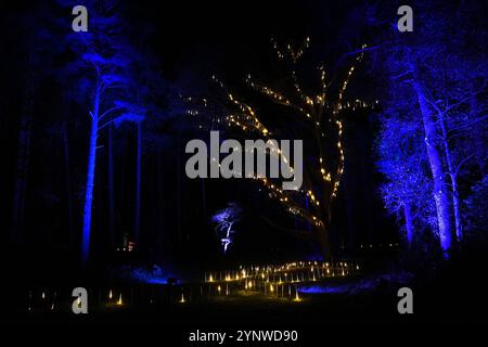 Trees and paths are illuminated during Luminate Sandringham, the ...