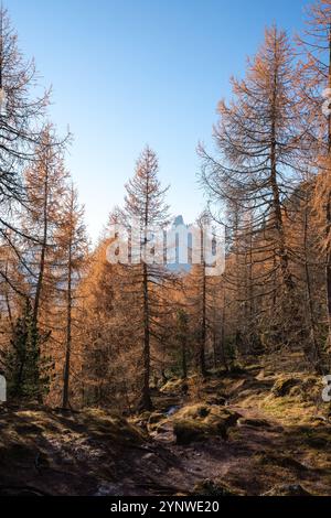Idyllic morning colorful autumn alpine view. Peaceful mountain lake ...