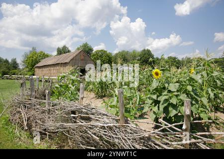 17th Century Replica Seneca Longhouse located at Ganondgan State ...
