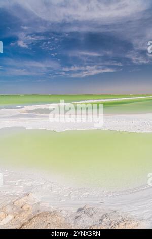 Close up on salt and emerald water of Qarhan or Chaerhan lake around ...