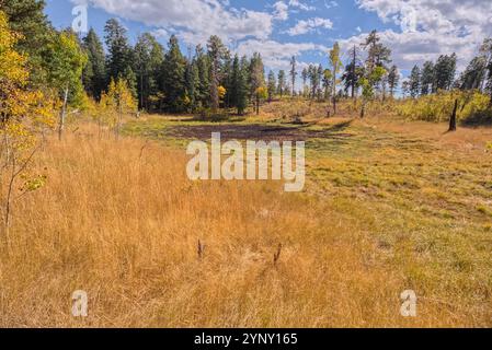 Dry riverbed in Greenland Lake, North Rim, Grand Canyon National Park ...