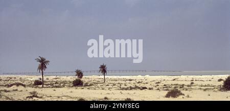 First Gulf War: 15th March 1991 The destroyed bridge to Bubiyan Island ...
