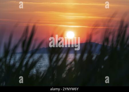A landscape shot of a lake through the reeds under the beautiful cloudy ...