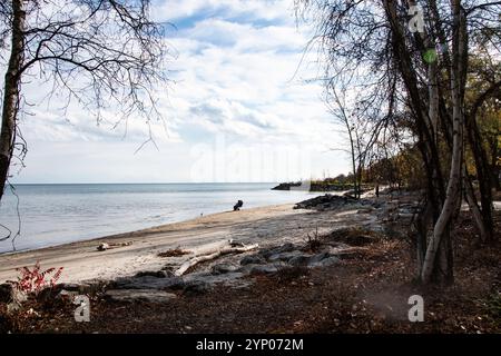 Beach at Jack Darling Memorial Park in Port Credit, Mississauga ...