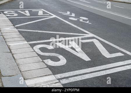 Road markings on asphalt indicate a designated bike lane, and a bus ...