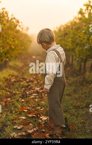 kid exploring a vineyard Stock Photo - Alamy