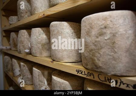 Cheese makers Ben and Samantha Spence at Curlew Dairy in Wensley near ...