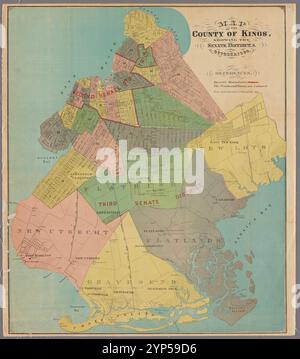Map of the county of Kings, showing the Senate districts, October 1869 ...