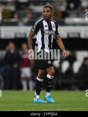 West Ham United's Callum Wilson celebrates scoring their side's first ...