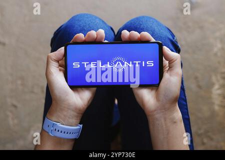 In this photo illustration, the Stellantis logo is seen displayed on a ...