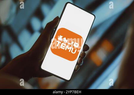 In this photo illustration, the Temu logo is seen displayed on a ...