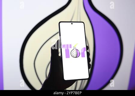 In this photo illustration the Tor Browser logo seen displayed on a ...