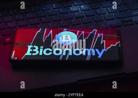 In this photo illustration, the Biconomy Exchange logo seen displayed ...