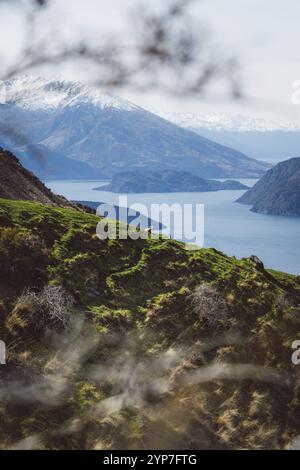 A scenic shot of hills covered with snowy trees in Killington Ski ...