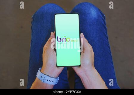 In this photo illustration, the BrioDirect logo is displayed on a ...
