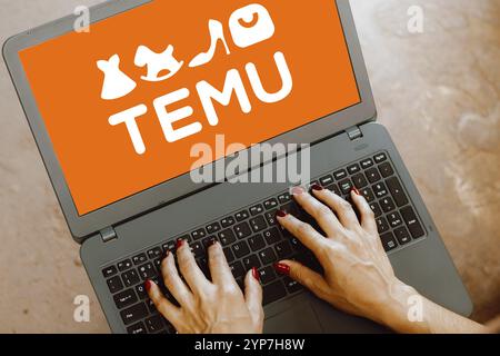 In this photo illustration, a Temu logo is seen displayed on a ...
