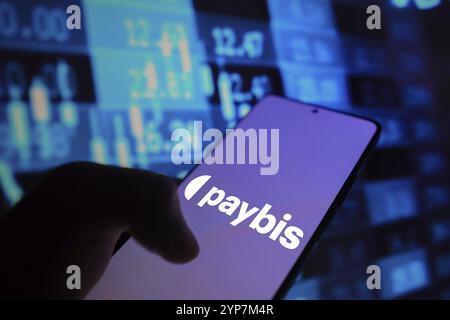 In this photo illustration, the Paybis logo is displayed on a ...