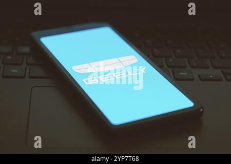 In this photo illustration, a Geely logo is seen displayed on a ...