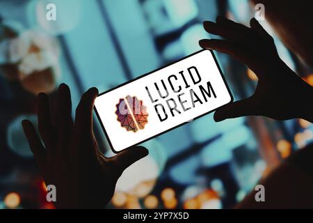 In this photo illustration, a Dream logo of Israeli AI cyber startup is ...