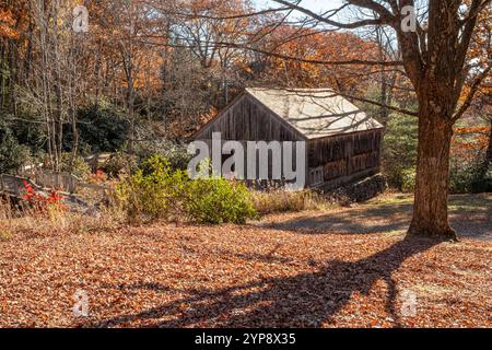 Moore State Park in Paxton, Massachusetts Stock Photo - Alamy