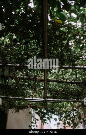 Elegant backyard terrace Stock Photo - Alamy