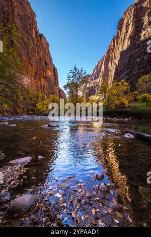 Explore the stunning Narrows of Zion National Park along the Virgin ...